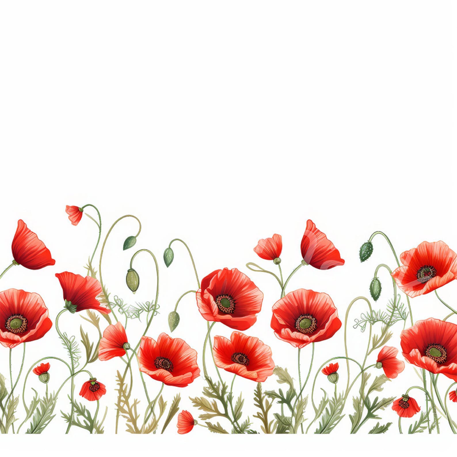 Floral Poppies Border Clipart, 12 JPG, Digital Paper Crafts, Poppies ...