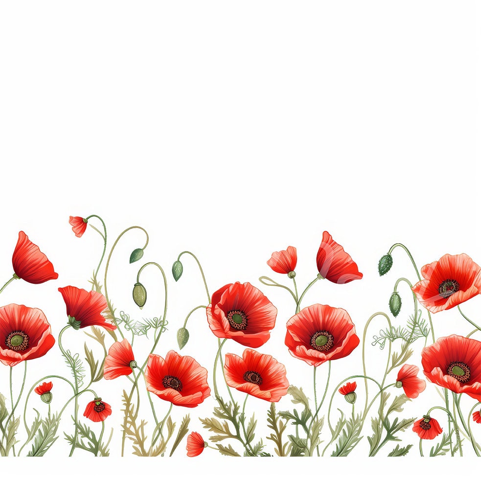 Floral Poppies Border Clipart, 12 JPG, Digital Paper Crafts, Poppies ...