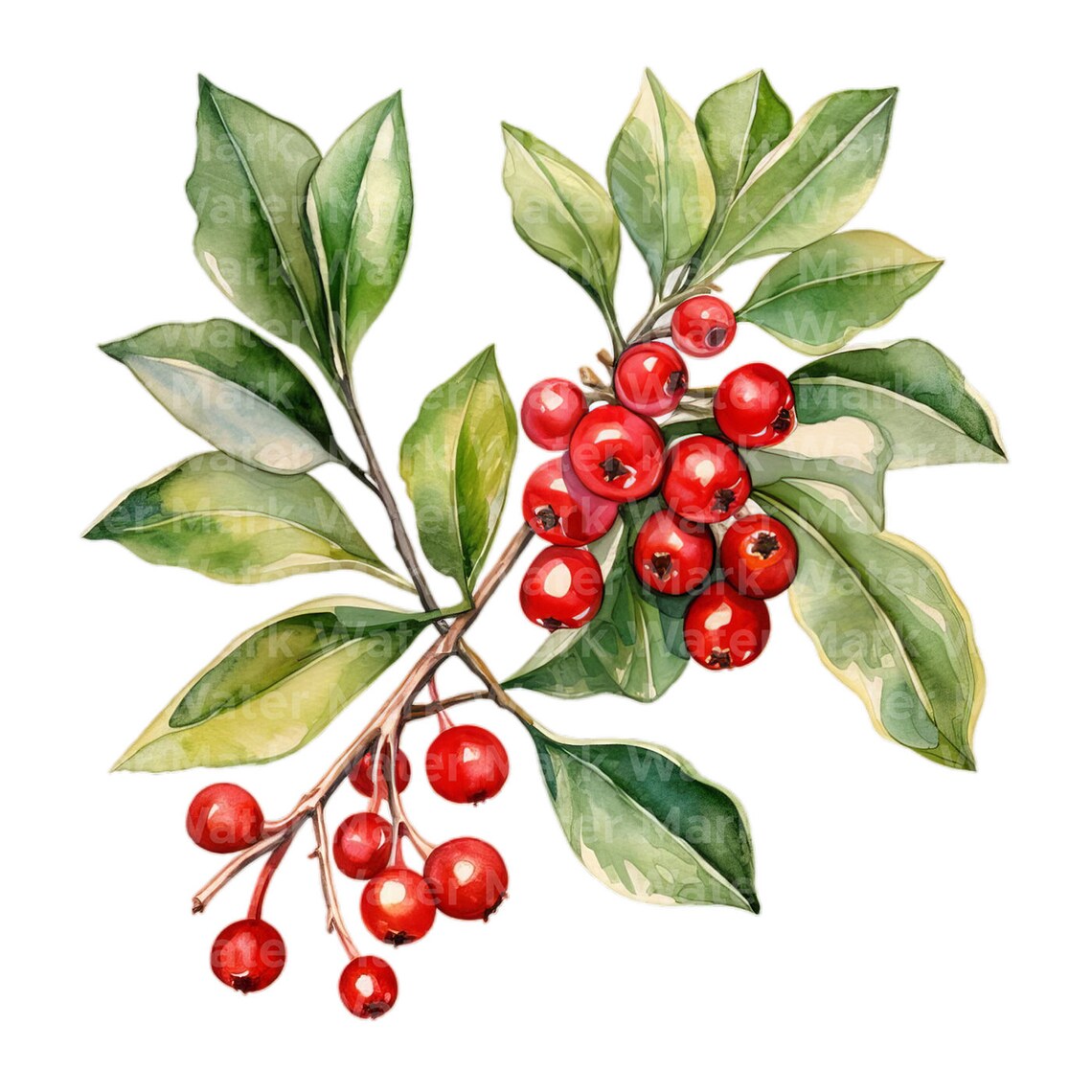 Christmas Mistletoe Clipart, 10 Jpg, Watercolor Clipart, Card Making ...