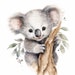 Watercolor Koala Bear Clipart: 12 JPG Images (digital Download) - Etsy