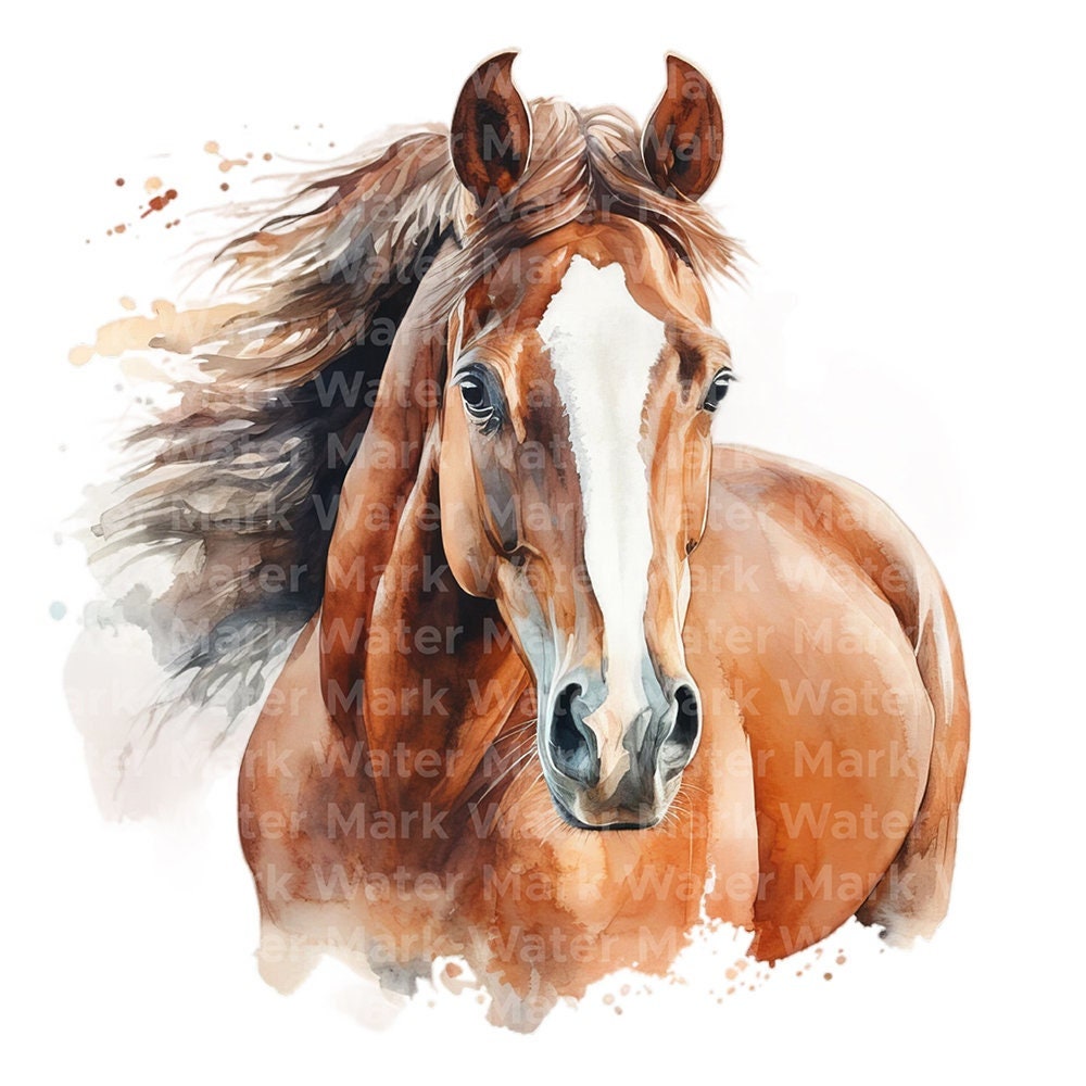 Watercolor Horse Clipart 12 JPG Beautiful Horses Animals - Etsy