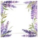 Watercolor Lavender Frame Clipart: Floral Border (digital Download) - Etsy