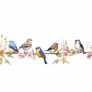 Watercolor Birds Border Clipart: Floral Frame (digital Download) - Etsy