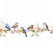 Watercolor Birds Border Clipart: Floral Frame (digital Download) - Etsy