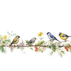 Watercolor Birds Border Clipart: Floral Frame (digital Download) - Etsy