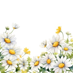 Floral Border Watercolor Clipart, 10 JPG, Digital Paper Craft, Daisies ...
