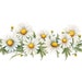 Floral Border Watercolor Clipart, 10 JPG, Digital Paper Craft, Daisies ...