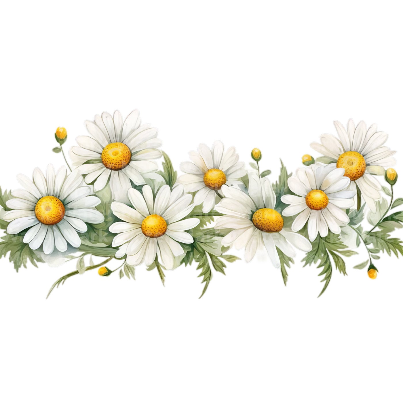 Watercolor Daisy Border Clipart: Floral Card Making (digital Download ...
