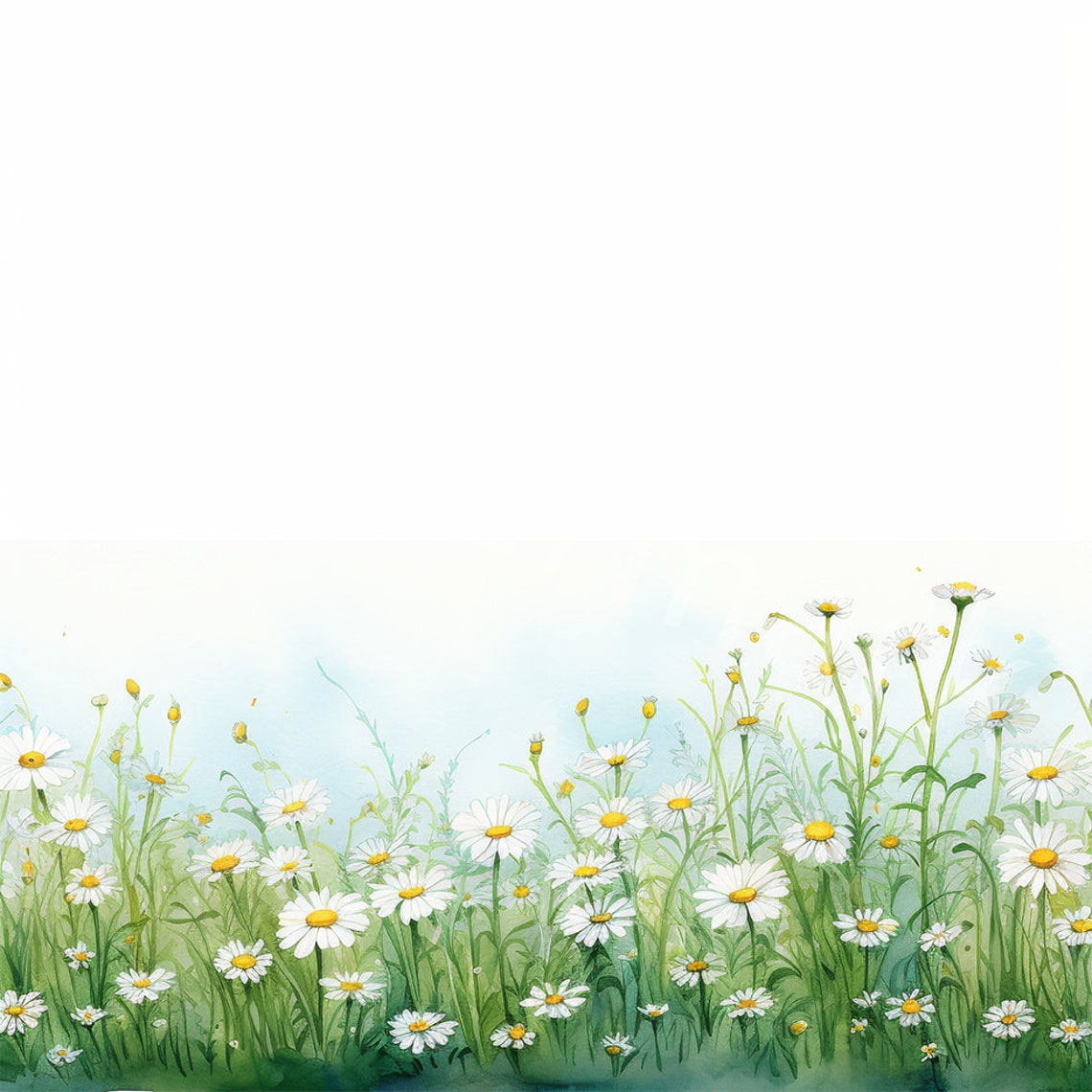 Daisy Border Clipart: Watercolor Flower Frame Graphics (digital ...