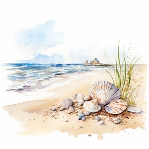 Watercolor Sea Shell Clipart: Beach JPG Images (digital Download) - Etsy