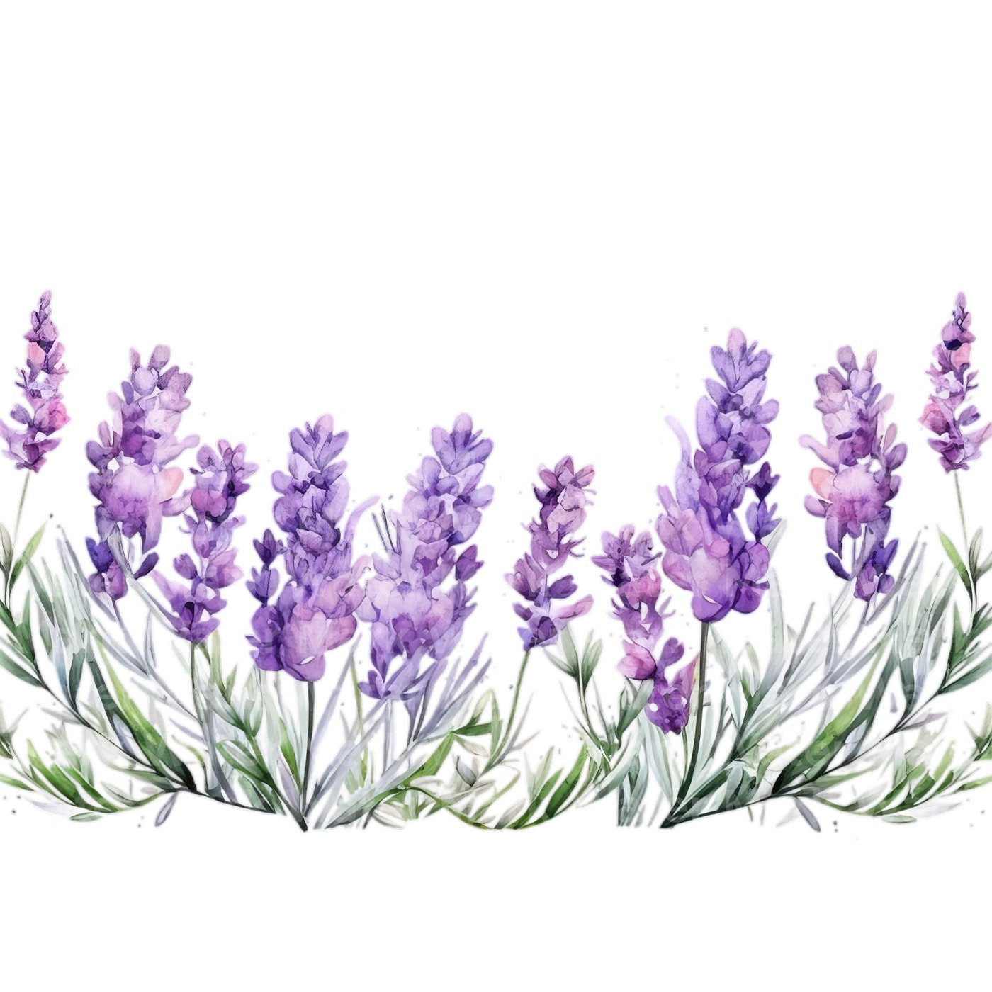 Watercolor Lavender Border Clipart: Floral Card Making (digital ...