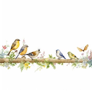 Watercolor Birds Border Clipart, 13 JPG, Digital Download, Digital ...