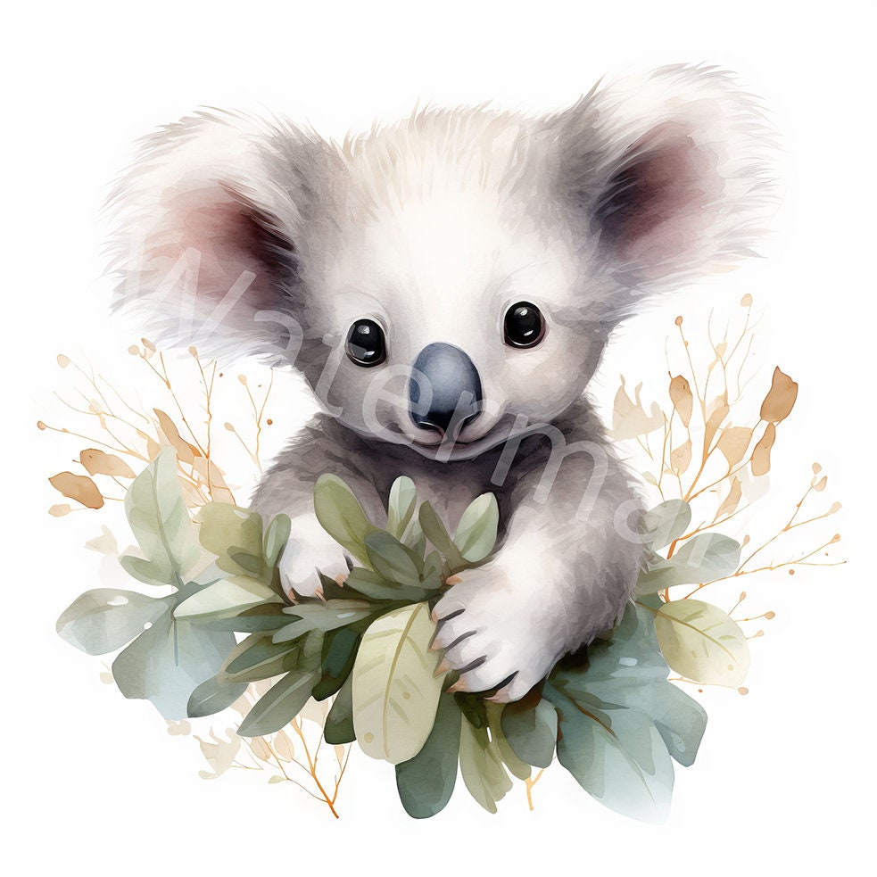 Watercolor Koala Bear Clipart: 12 JPG Images (digital Download) - Etsy