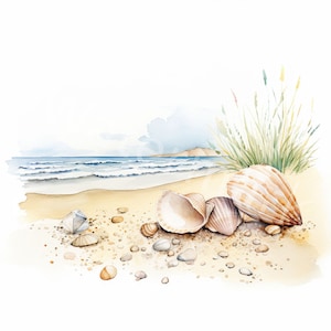 Watercolor Sea Shell Clipart: Beach JPG Images (digital Download) - Etsy