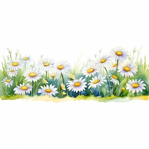 Daisy Border Clipart: Watercolor Flower Frame Graphics (digital ...