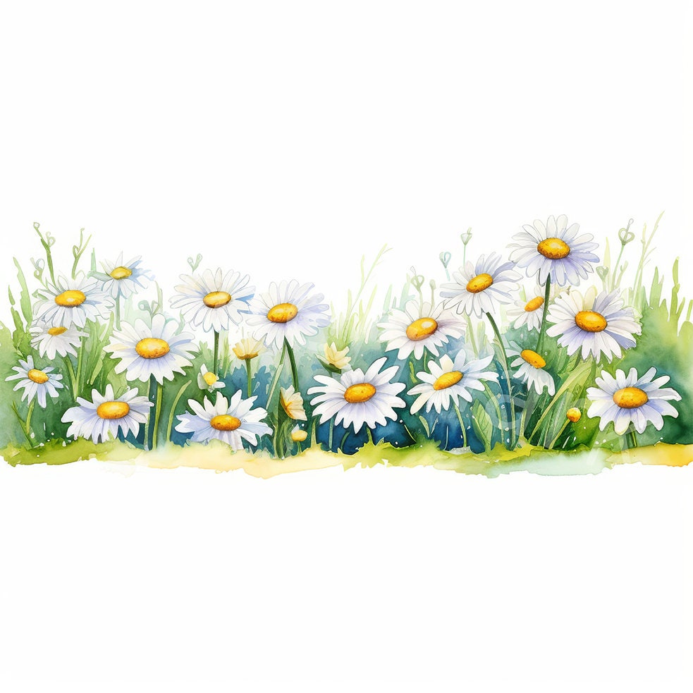 Daisy Border Clipart: Watercolor Flower Frame Graphics (digital ...