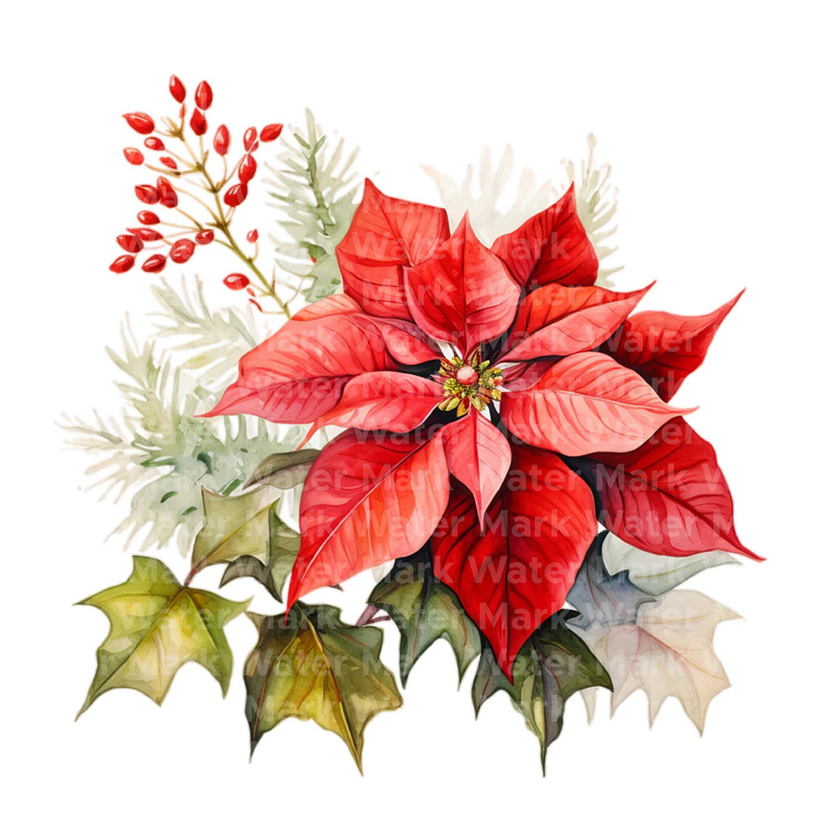 Christmas Poinsettia Clipart, 12 Jpg, Watercolor Clipart, Card Making ...