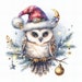 Christmas Owl Watercolor Clipart: Holiday Card Making (digital Download ...