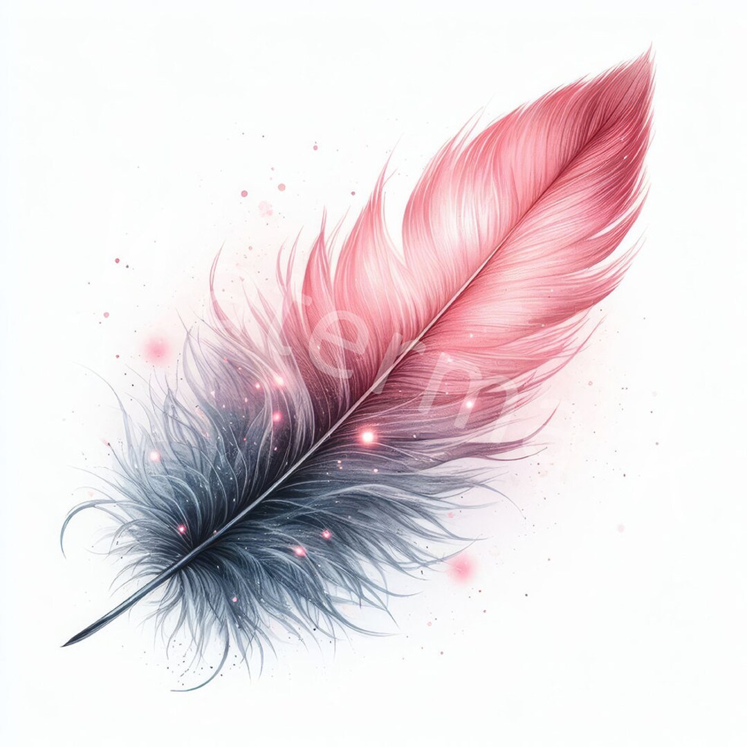 Bird Feather Watercolor Clipart, 12 Jp, Digital Download, Wall Art ...