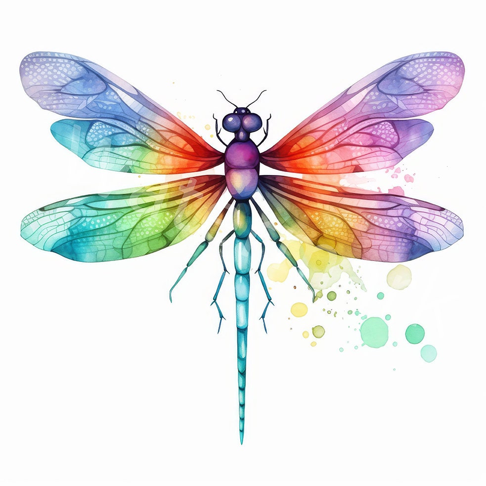 Magic Dragonfly Clipart, 12 Jpg, Digital Download, Watercolor, Digital ...