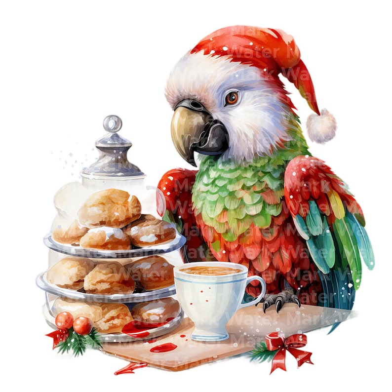 Christmas Parrot Clipart, 12 Jpg, Watercolor Clipart, Digital Paper ...