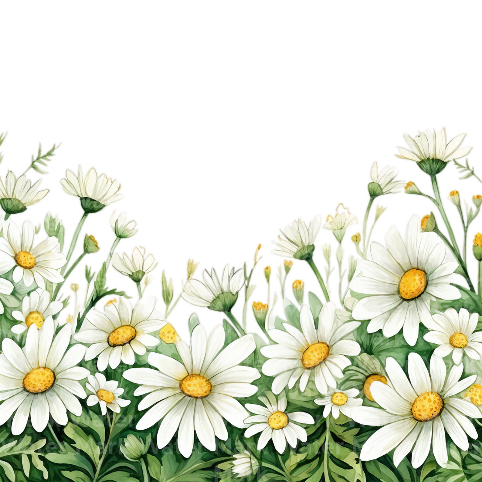 Floral Border Watercolor Clipart, 10 JPG, Digital Paper Craft, Daisies ...