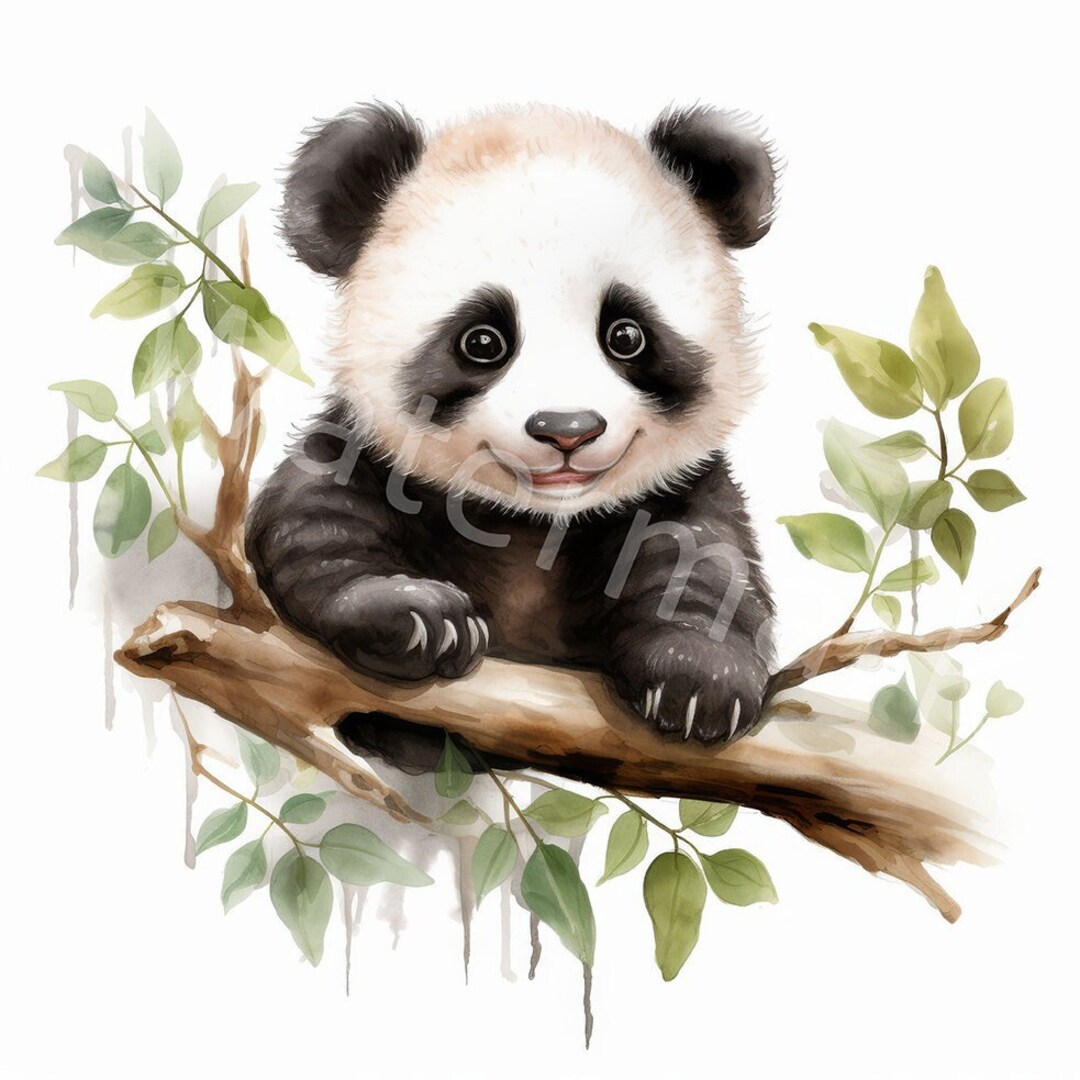 Watercolor Panda Clipart: Baby Animal Art (digital Download) - Etsy