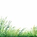 Border Grass Clipart, 12 JPG, Digital Download, Digital Paper Craft ...