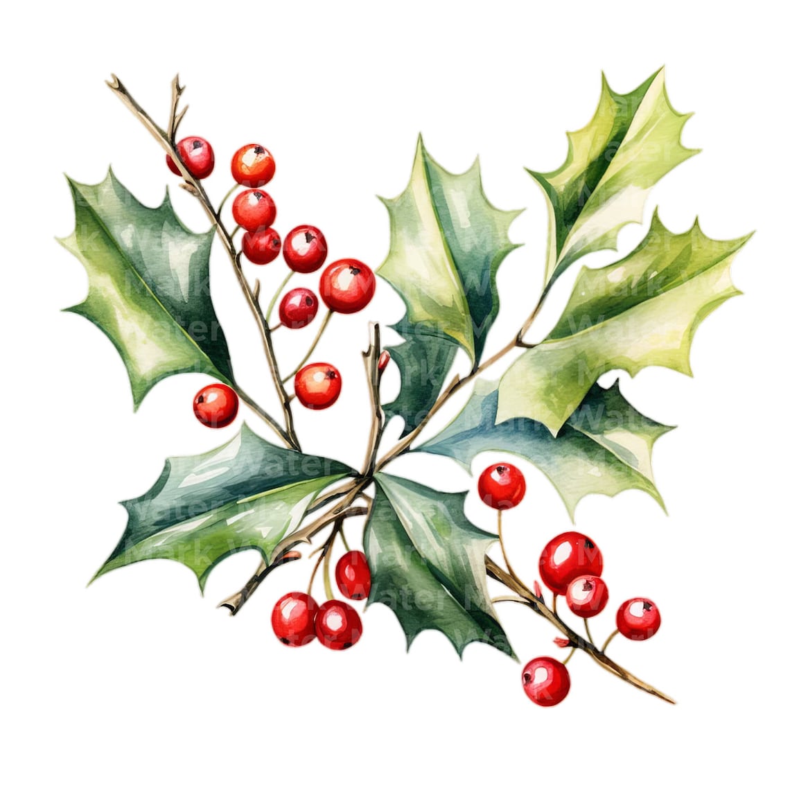 Christmas Mistletoe Clipart, 10 Jpg, Watercolor Clipart, Card Making ...