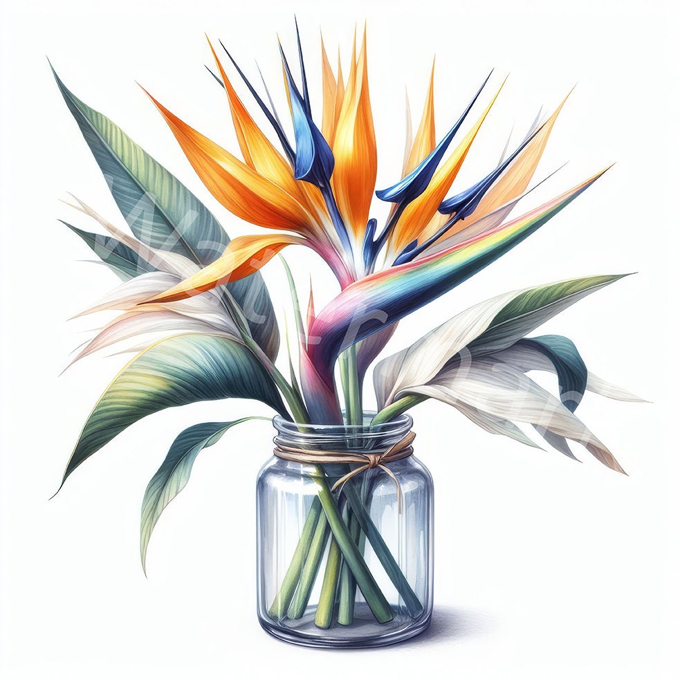 Strelitzia Flowers Clipart, 11 Jpg, Digital Download, Digital Paper ...