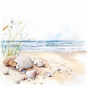 Watercolor Sea Shell Clipart: Beach JPG Images (digital Download) - Etsy