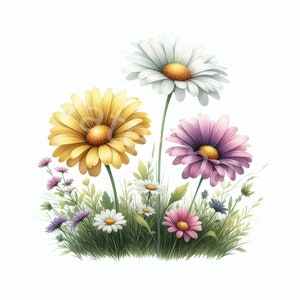 Watercolor Daisies Clipart: Floral JPG Images for Crafts (digital ...
