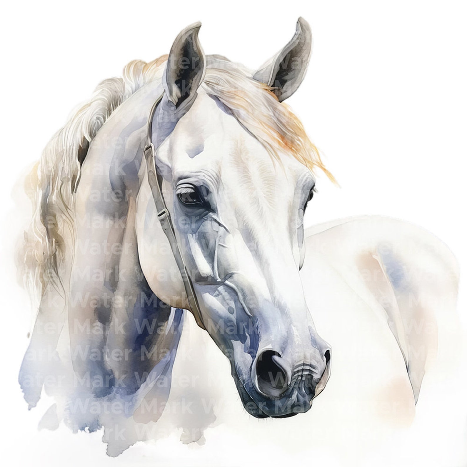 Watercolor Horse Clipart: 12 JPG Images (digital Download) - Etsy