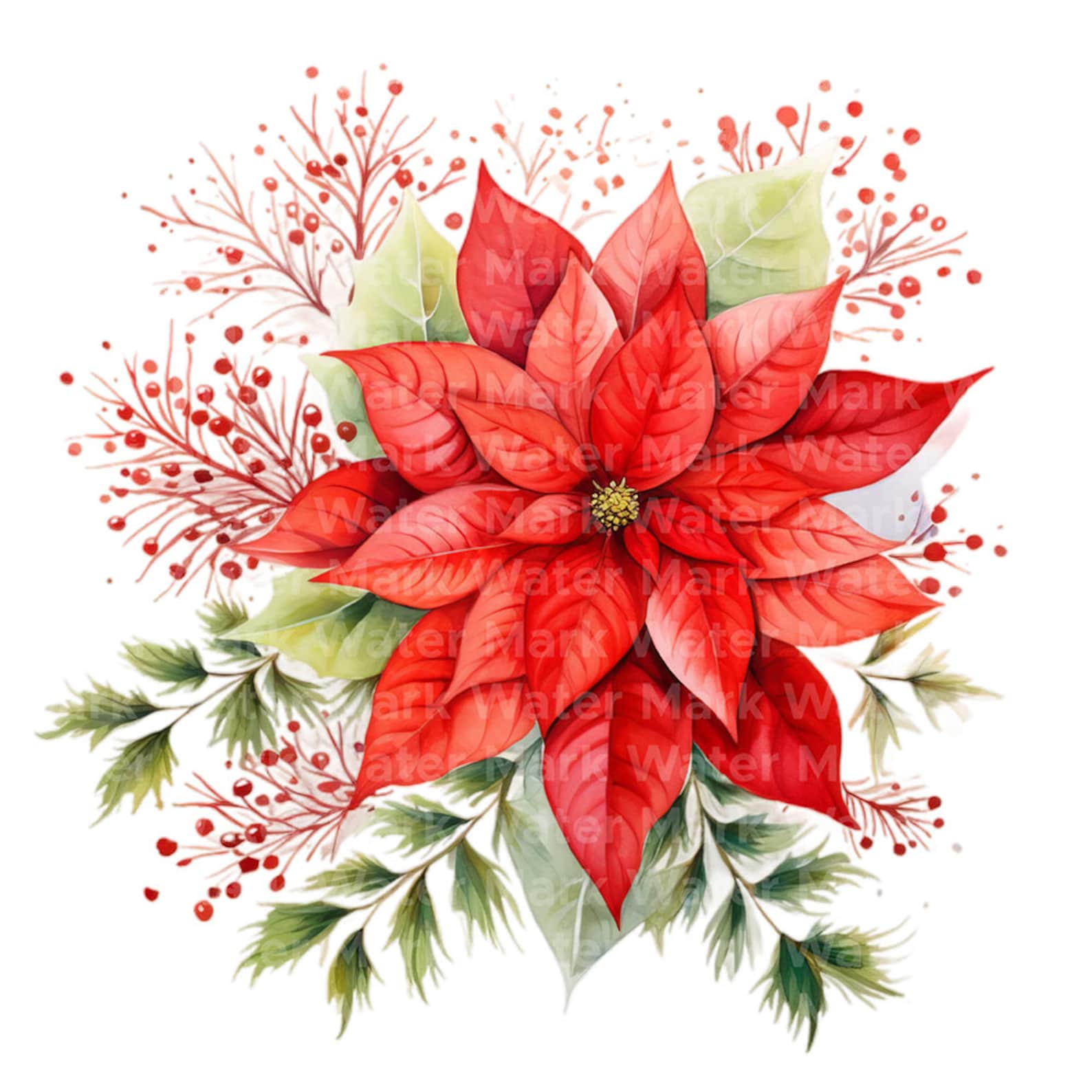 Christmas Poinsettia Clipart, 12 Jpg, Watercolor Clipart, Card Making ...
