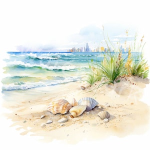Watercolor Sea Shell Clipart: Beach JPG Images (digital Download) - Etsy