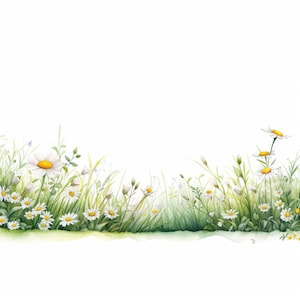 Daisy Border Clipart: Watercolor Flower Frame Graphics (digital ...