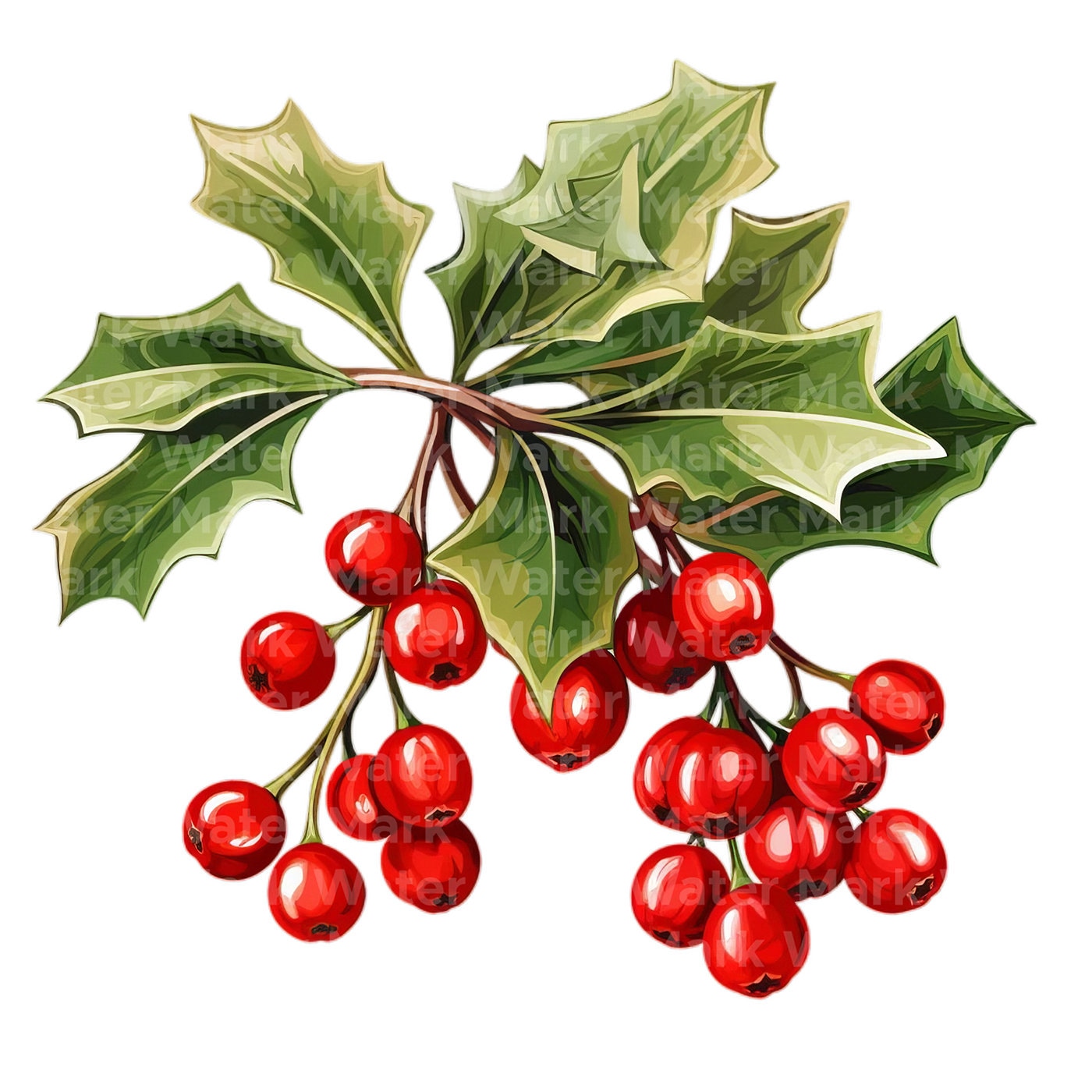 Christmas Mistletoe Clipart, 10 Jpg, Watercolor Clipart, Card Making ...