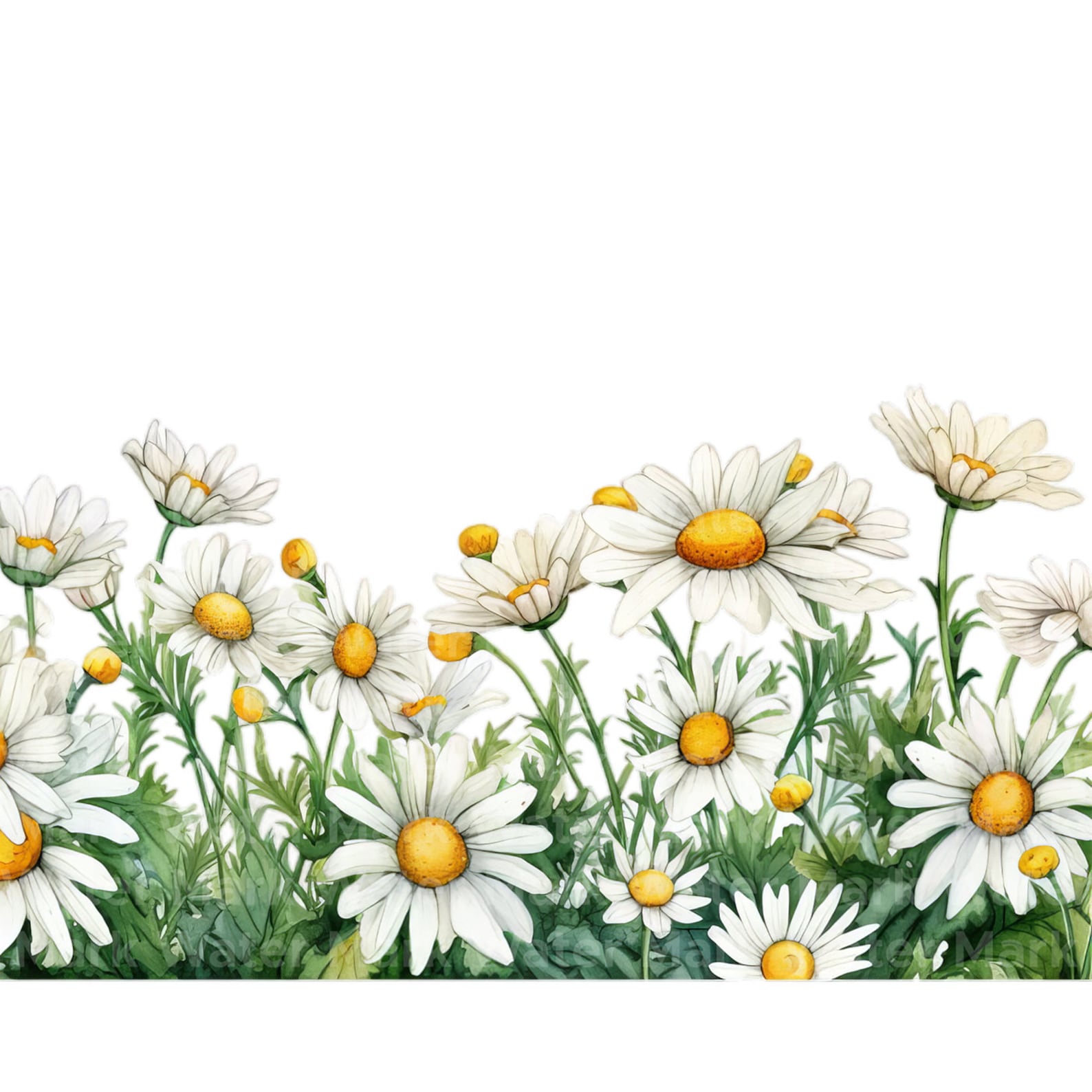 Floral Border Watercolor Clipart, 10 JPG, Digital Paper Craft, Daisies ...