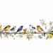 Watercolor Birds Border Clipart, 13 JPG, Digital Download, Digital ...