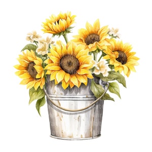 Flowers Sunflowers Clipart, 12 Jpg, Digital Paper Crafts, Sunflowers in a Bucket, Card Making ...