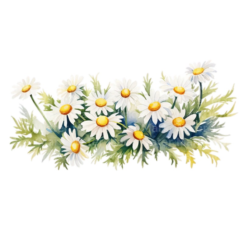 Watercolor Daisy Border Clipart: Floral Card Making (digital Download ...