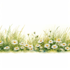 Daisy Border Clipart: Watercolor Flower Frame Graphics (digital ...