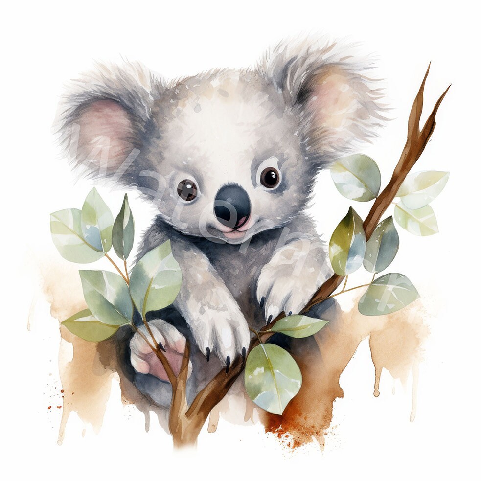 Watercolor Koala Bear Clipart: 12 JPG Images (digital Download) - Etsy