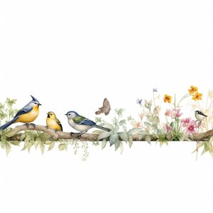 Watercolor Birds Border Clipart, 13 JPG, Digital Download, Digital ...