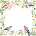 Watercolor Birds Frame Clipart, 10 JPG, Digital Paper Crafts, Frame ...