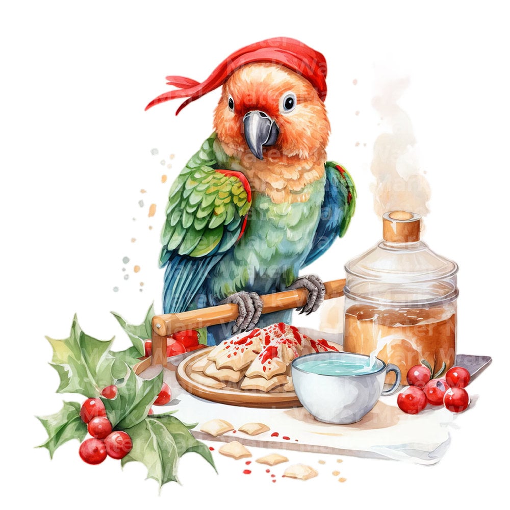 Christmas Parrot Clipart, 12 Jpg, Watercolor Clipart, Digital Paper ...
