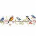 Watercolor Birds Border Clipart: Floral Frame (digital Download) - Etsy