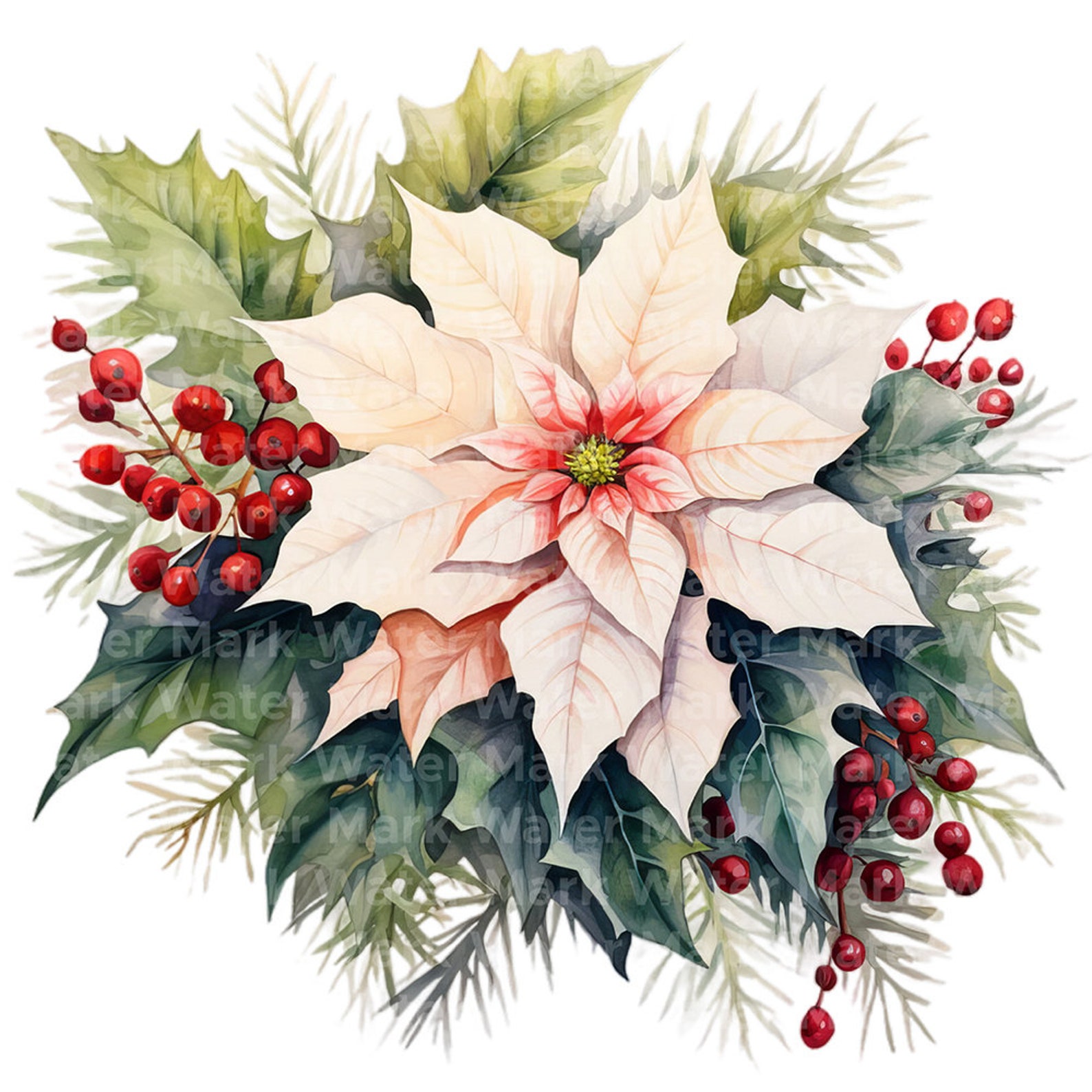 Watercolor Christmas Poinsettia Clipart: Card Making & Decor (digital ...