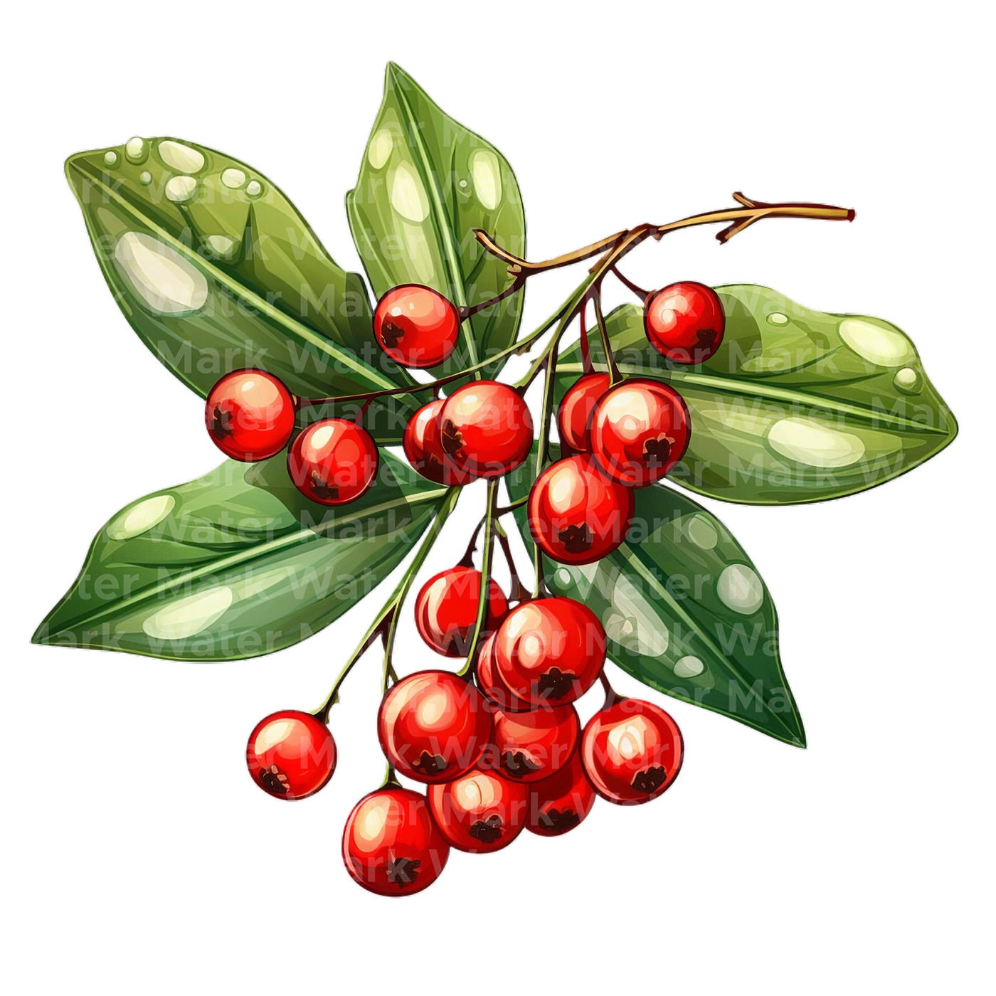Watercolor Christmas Mistletoe Clipart: Card Making Decorations ...