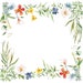 Watercolor Flower Frame Clipart: Floral Border Graphics (digital ...
